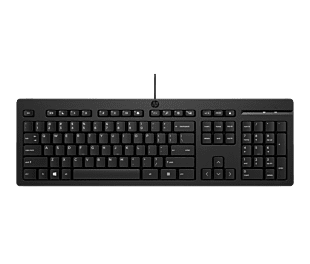 HP 125 Wired Keyboard (AY2Y7AA) - Shop HP.com Thailand